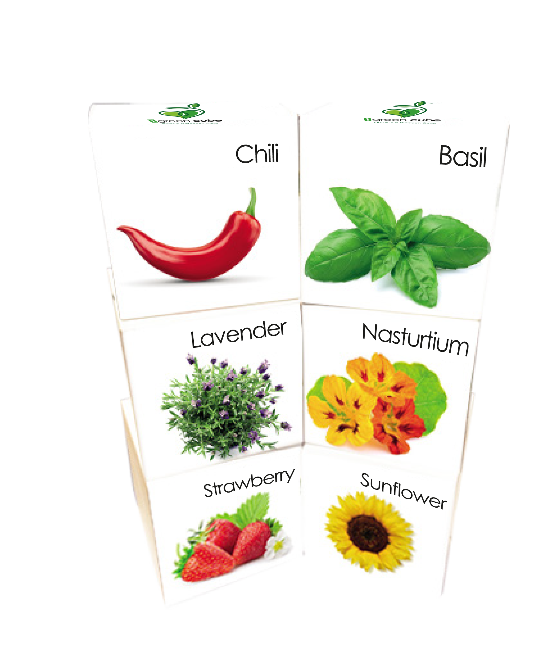 iGreen Cube - Flowers in a Wooden Cube