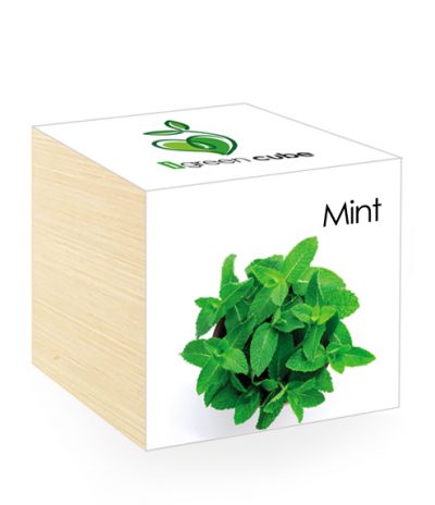 iGreen Cube | Flowers & Plants in Wooden Cubes - iGreenGadgets.com