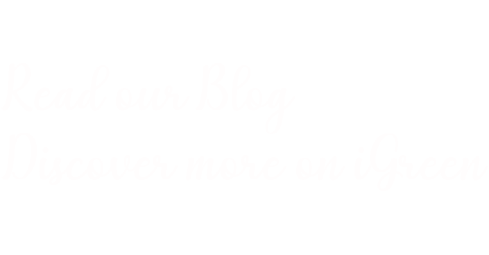 iGreen Cube | Flowers & Plants in Wooden Cubes - iGreenGadgets.com